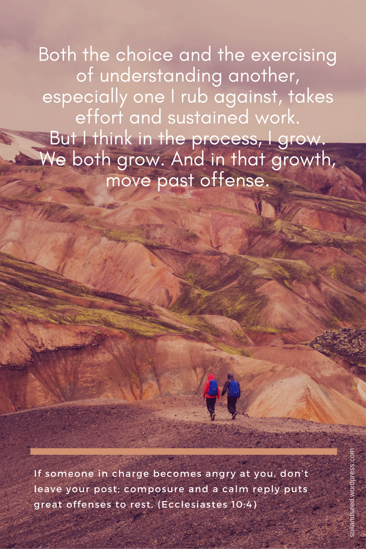 Hard Choice – Soil and Seed